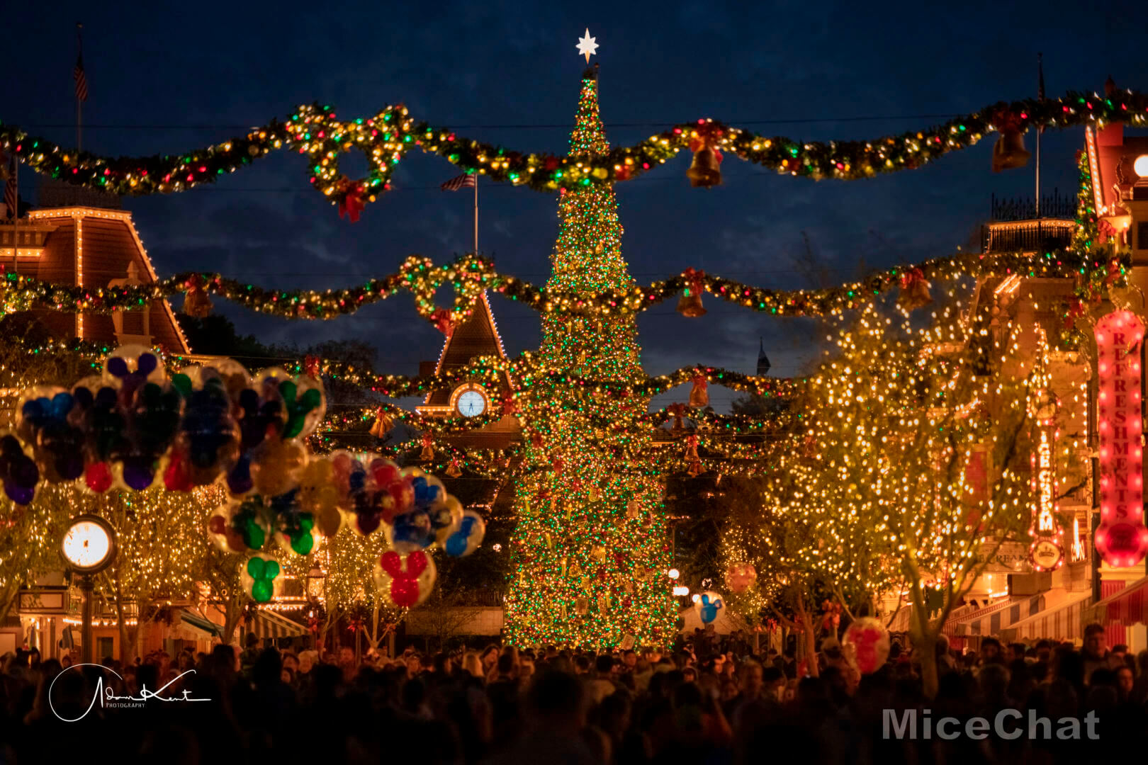 Disneyland Christmas Tree At Night